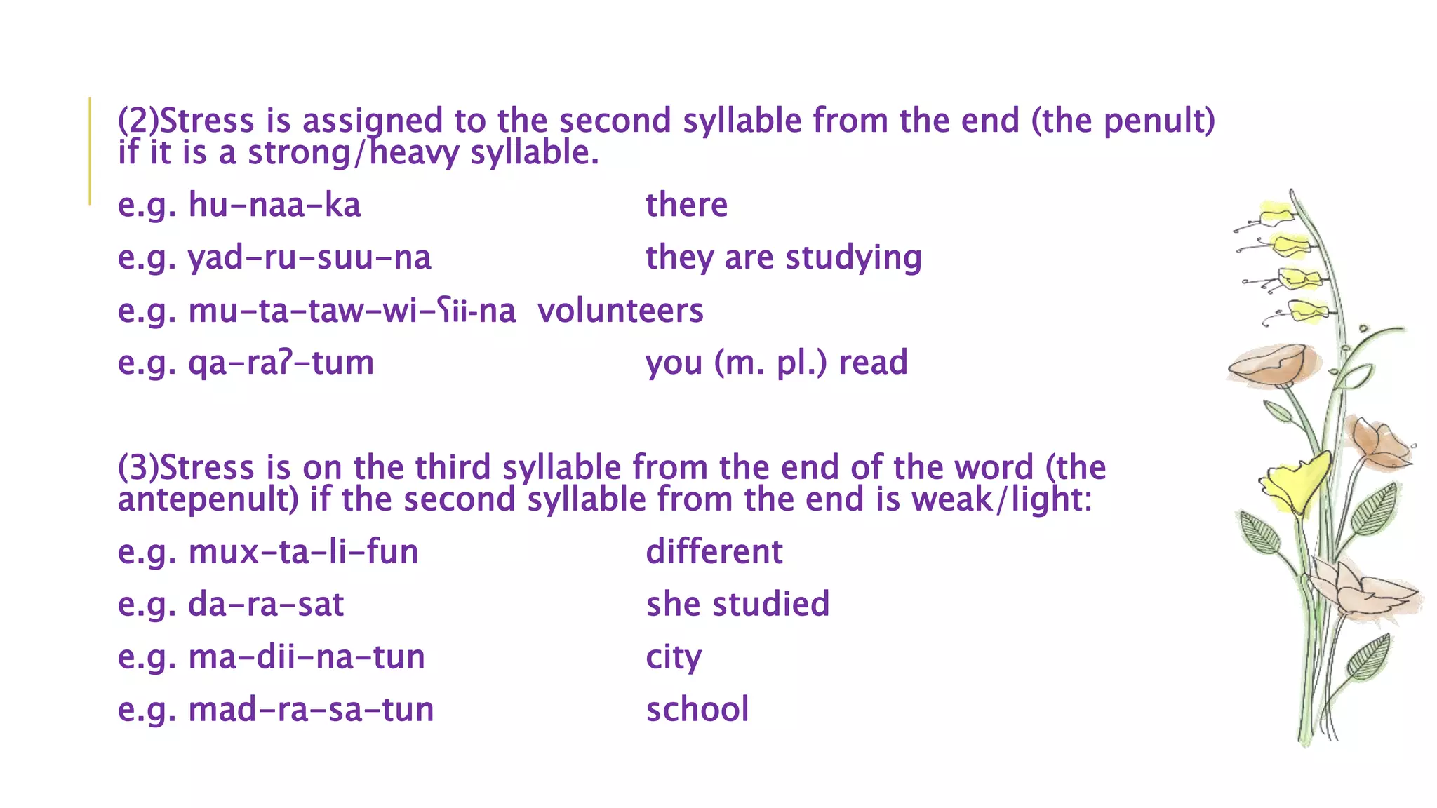 Arabic syllable structure and stress | PPTX