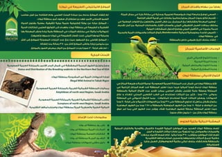 Arabic workshop | PDF