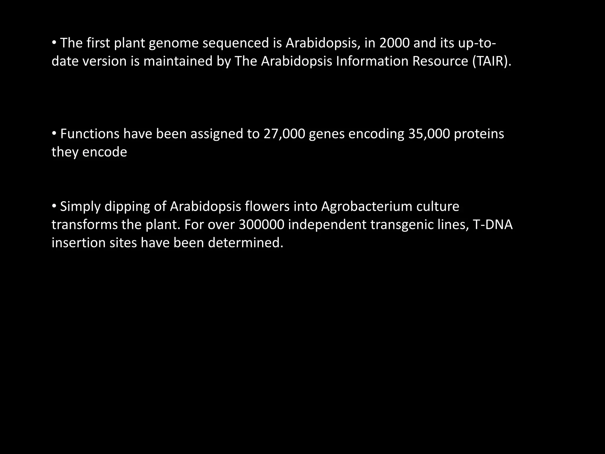 Arabidopsis in molecular biology | PPTX