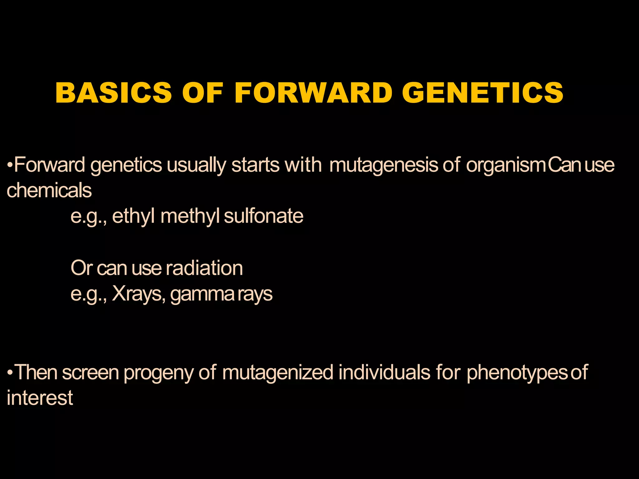Arabidopsis in molecular biology | PPTX