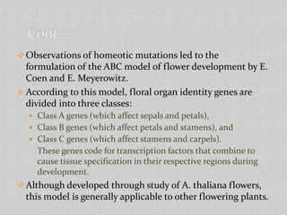 Arabidopsis thaliana | PPTX