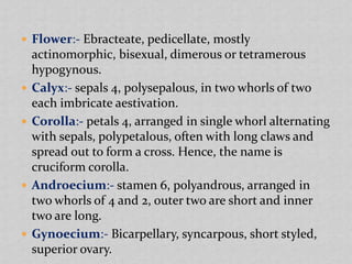 Arabidopsis thaliana | PPTX
