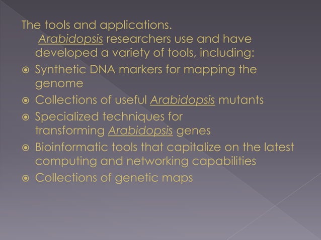Arabidopsis thaliana genome project | PPTX | Gardening | Home & Garden