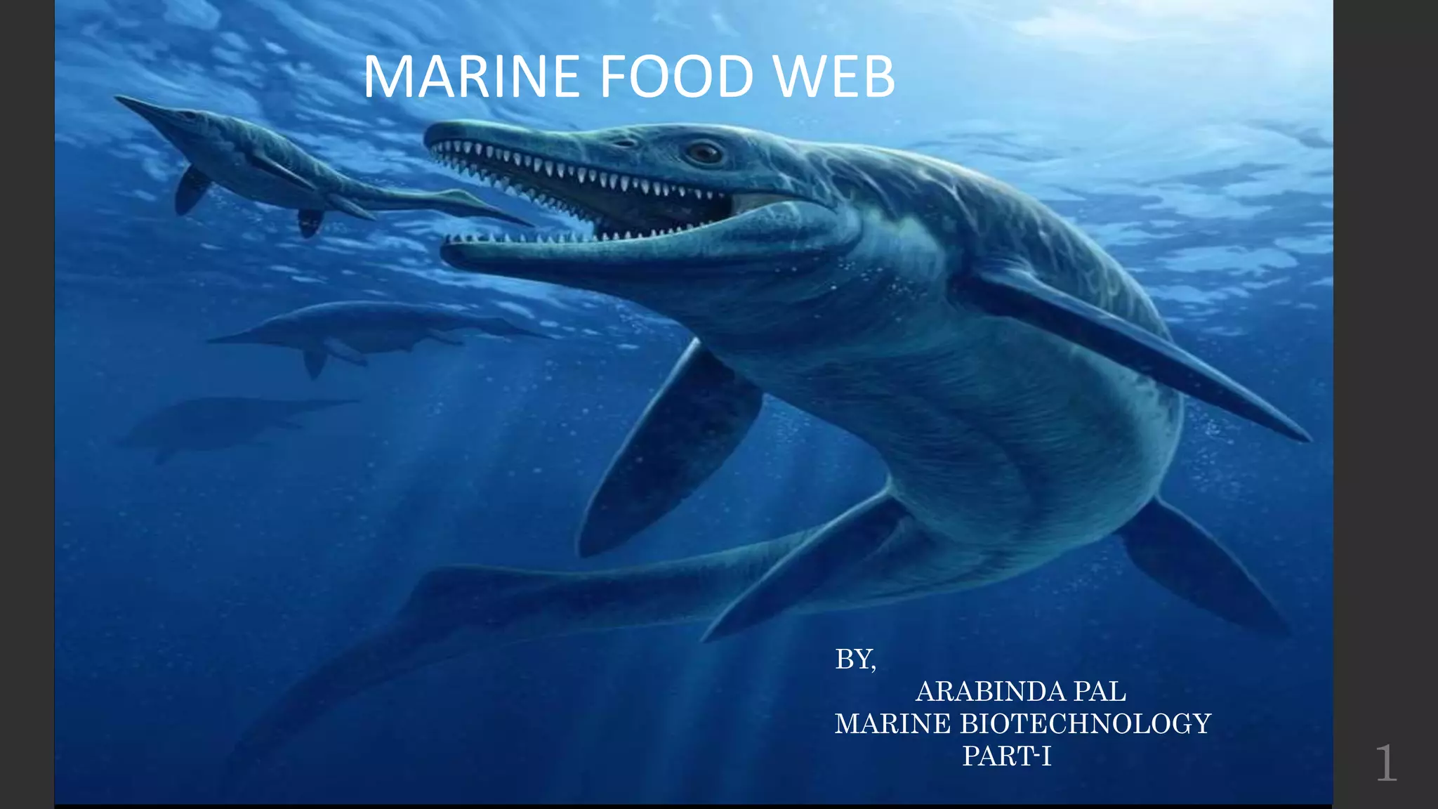 marine food web | PPTX