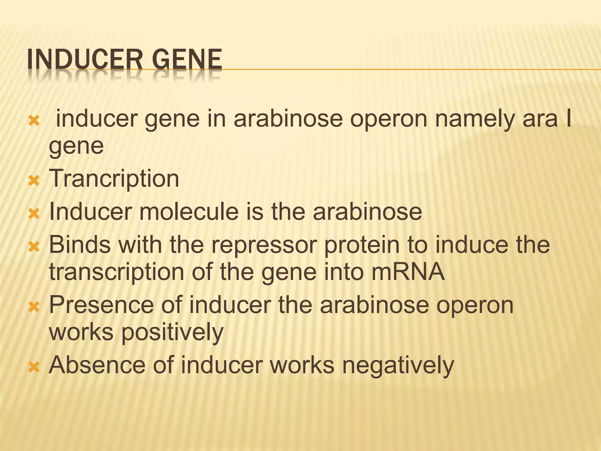 Arabinose operon and their regulation and arac | PPTX