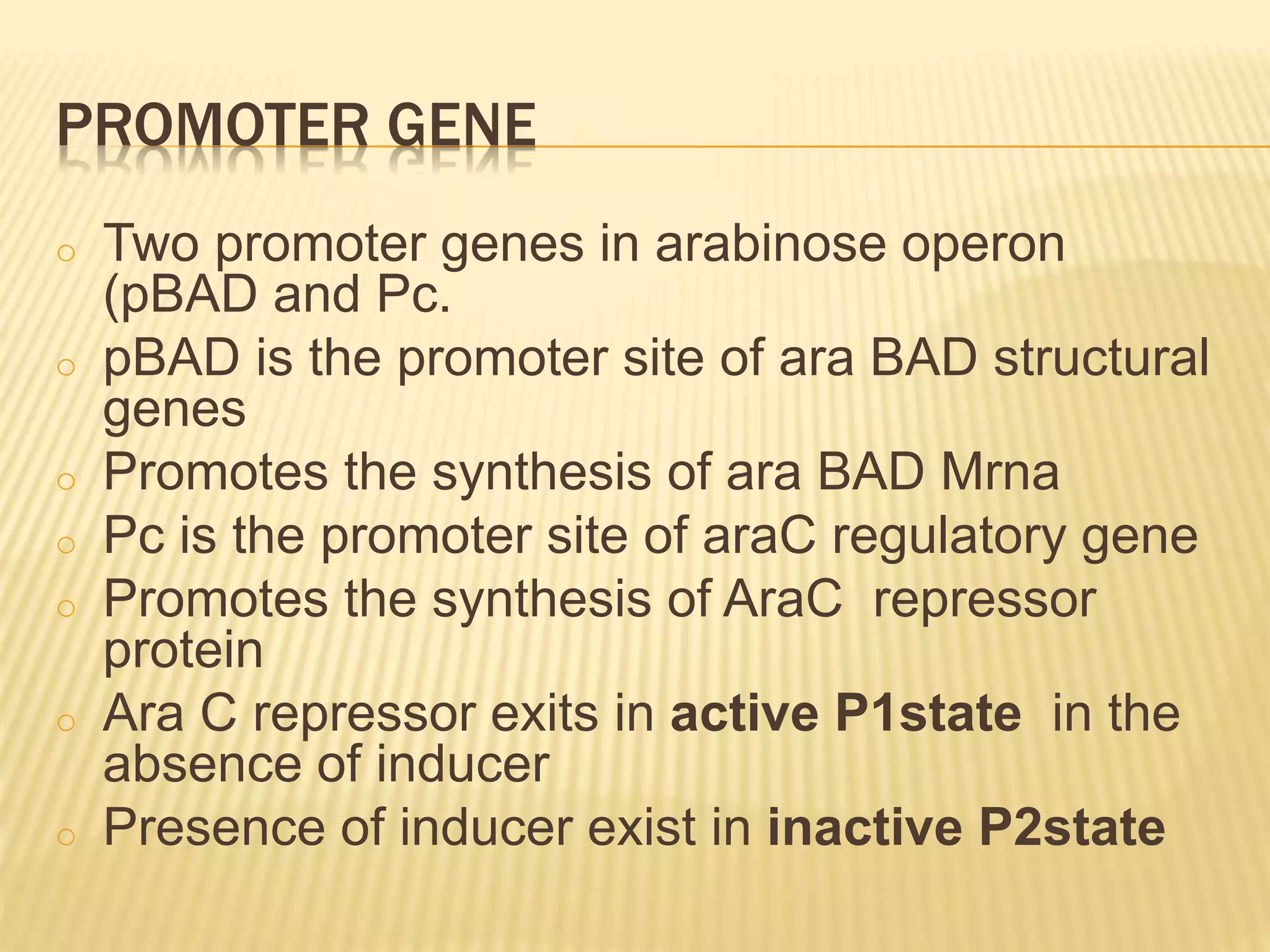 Arabinose operon and their regulation and arac | PPTX