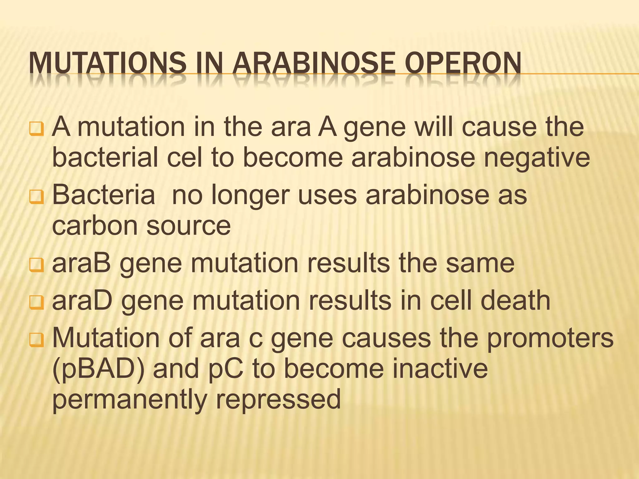Arabinose operon and their regulation and arac | PPTX