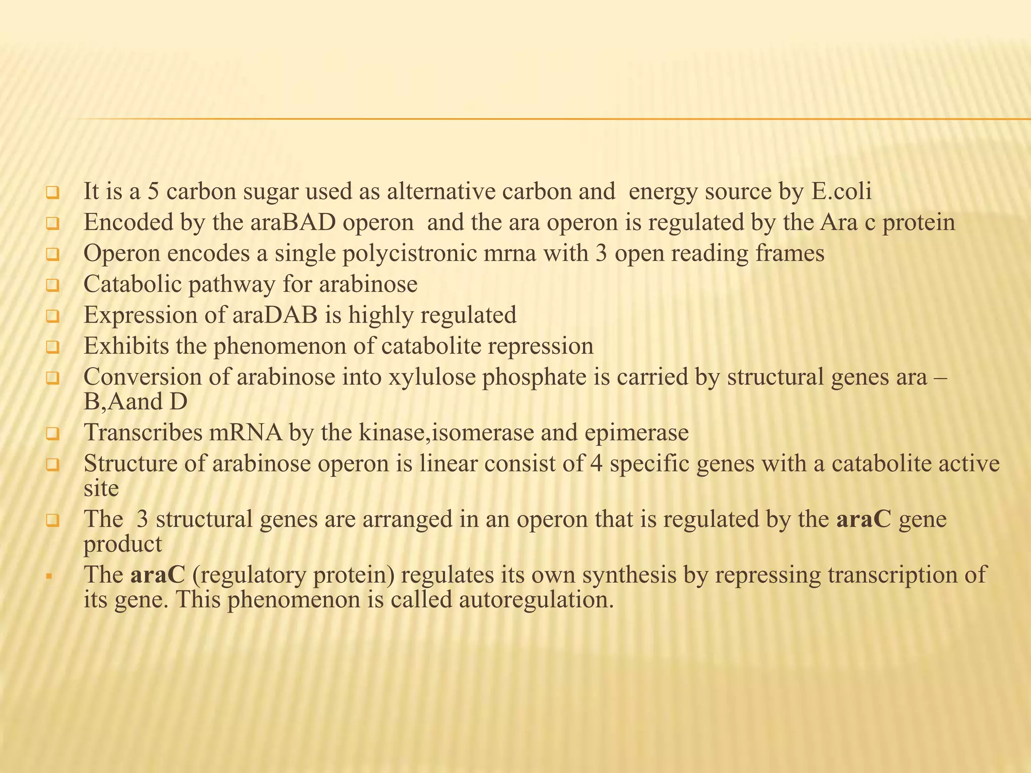 Arabinose operon and their regulation and arac | PPTX