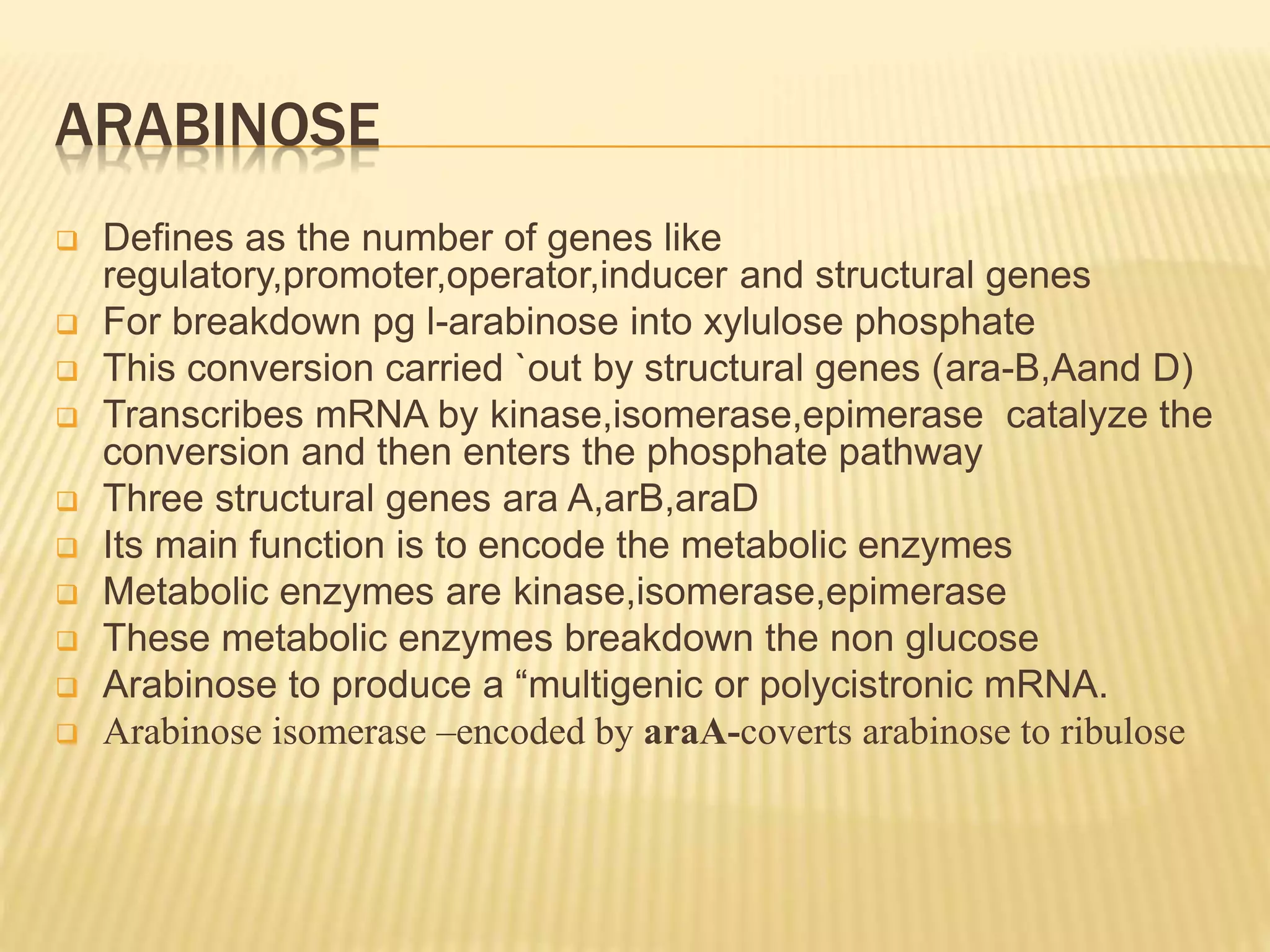 Arabinose operon and their regulation and arac | PPTX