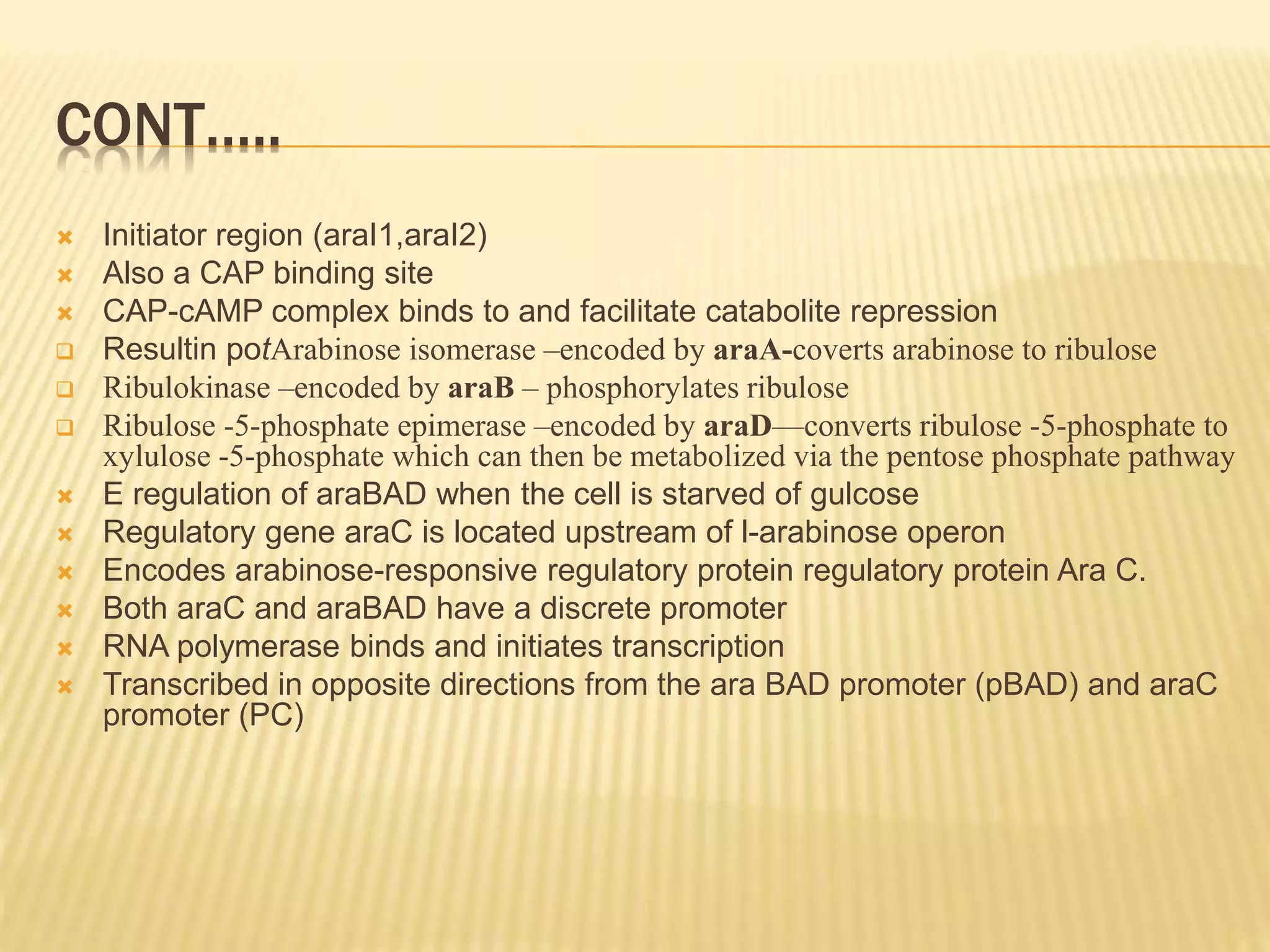 Arabinose operon and their regulation and arac | PPTX