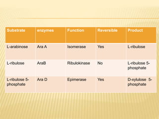 Arabinose operon and their regulation and arac | PPTX