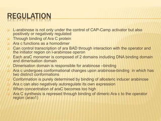 Arabinose operon and their regulation and arac | PPTX