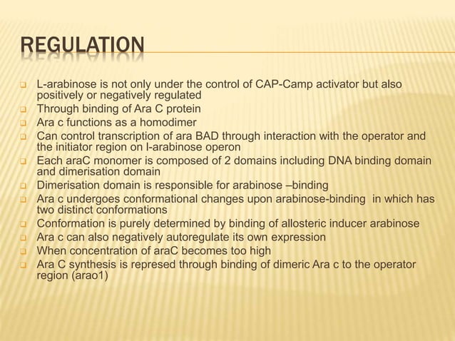 Arabinose operon and their regulation and arac | PPTX