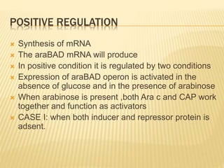 Arabinose operon and their regulation and arac | PPTX