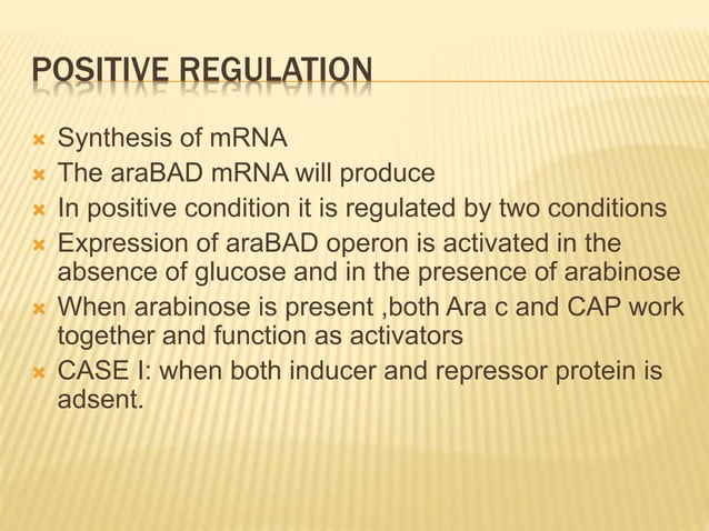 Arabinose operon and their regulation and arac | PPTX