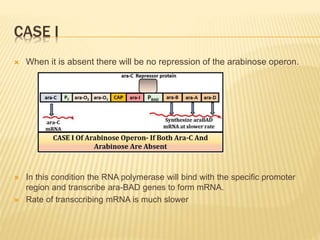 Arabinose operon and their regulation and arac | PPTX