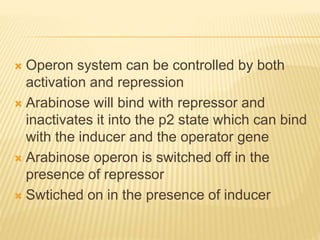 Arabinose operon and their regulation and arac | PPTX
