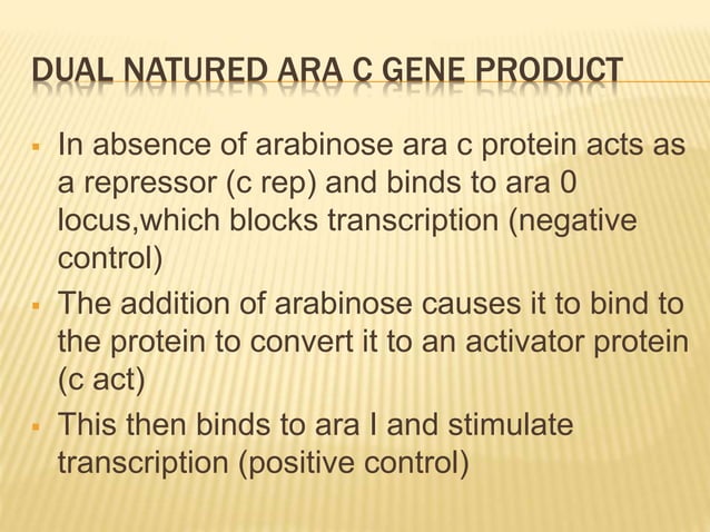 Arabinose operon and their regulation and arac | PPTX