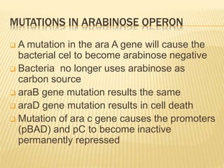 Arabinose operon and their regulation and arac | PPTX