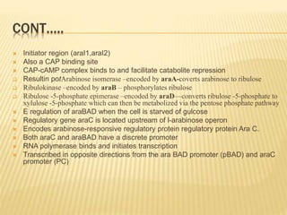 Arabinose operon and their regulation and arac | PPTX