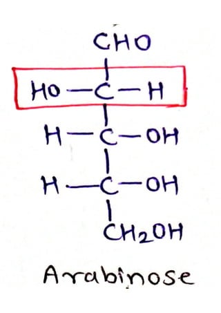 Arabinose | PDF