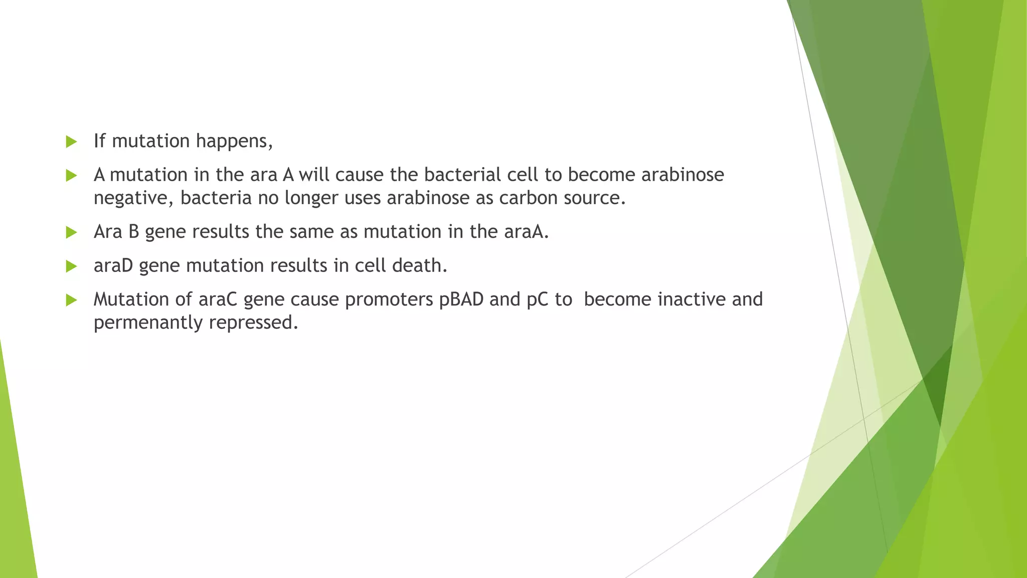 arabinose operon.pptx
