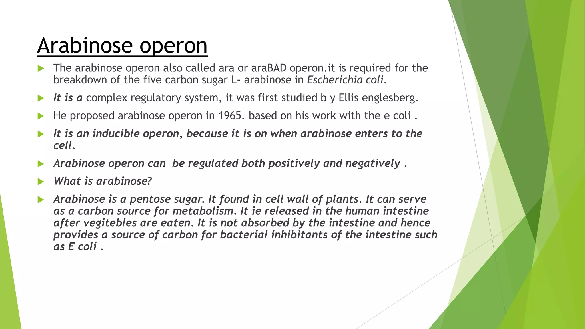 arabinose operon.pptx
