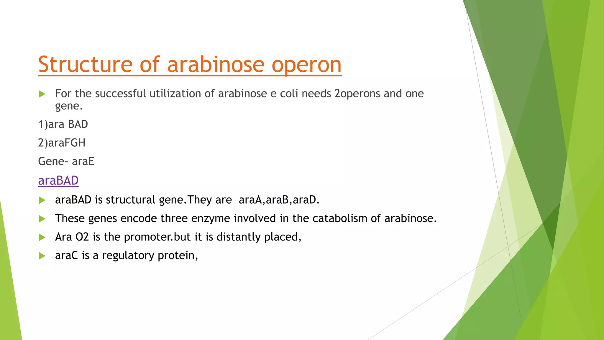 arabinose operon.pptx