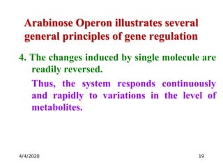 Arabinose Operon.pdf od molecular biology lac opron | PDF