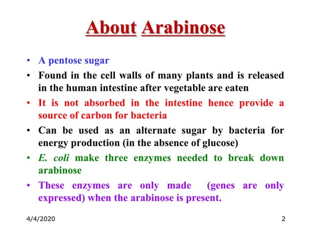 Arabinose Operon.pdf od molecular biology lac opron | PDF | Endocrine and Metabolic Diseases ...