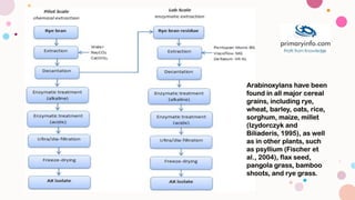 Arabinoxylan | PPT