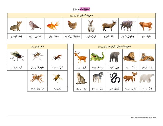 ARAB (NOTA UPKK).pdf untuk murid exam UPKK | PDF