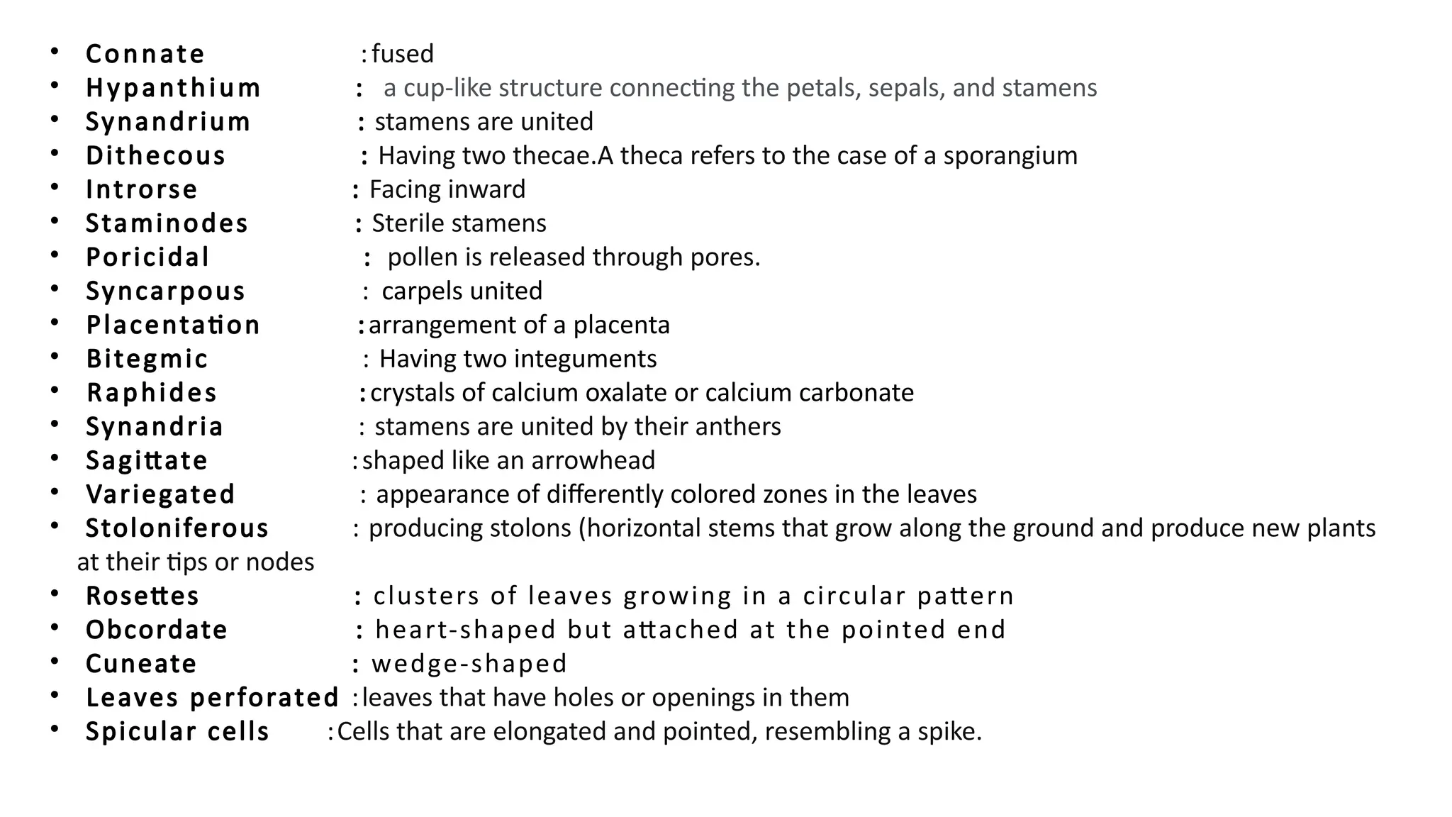 Understanding the Araceae Family: Characteristics, Distribution, and ...