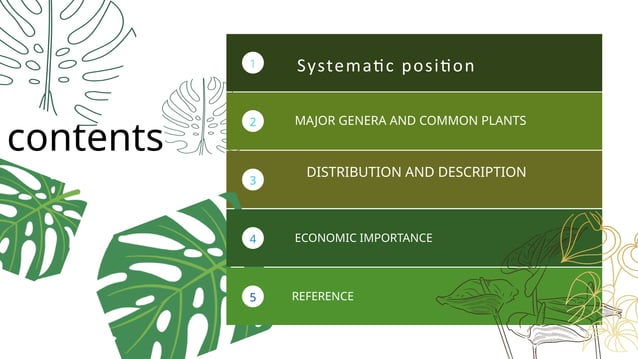 Understanding the Araceae Family: Characteristics, Distribution, and ...