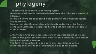 Understanding the Araceae Family: Characteristics, Distribution, and ...