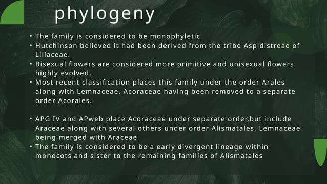 Understanding the Araceae Family: Characteristics, Distribution, and ...