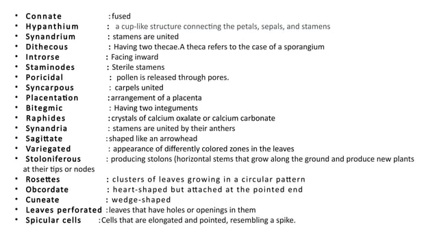 Understanding the Araceae Family: Characteristics, Distribution, and ...