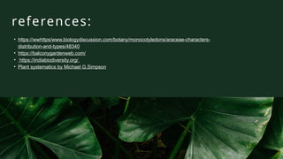 Understanding the Araceae Family: Characteristics, Distribution, and ...