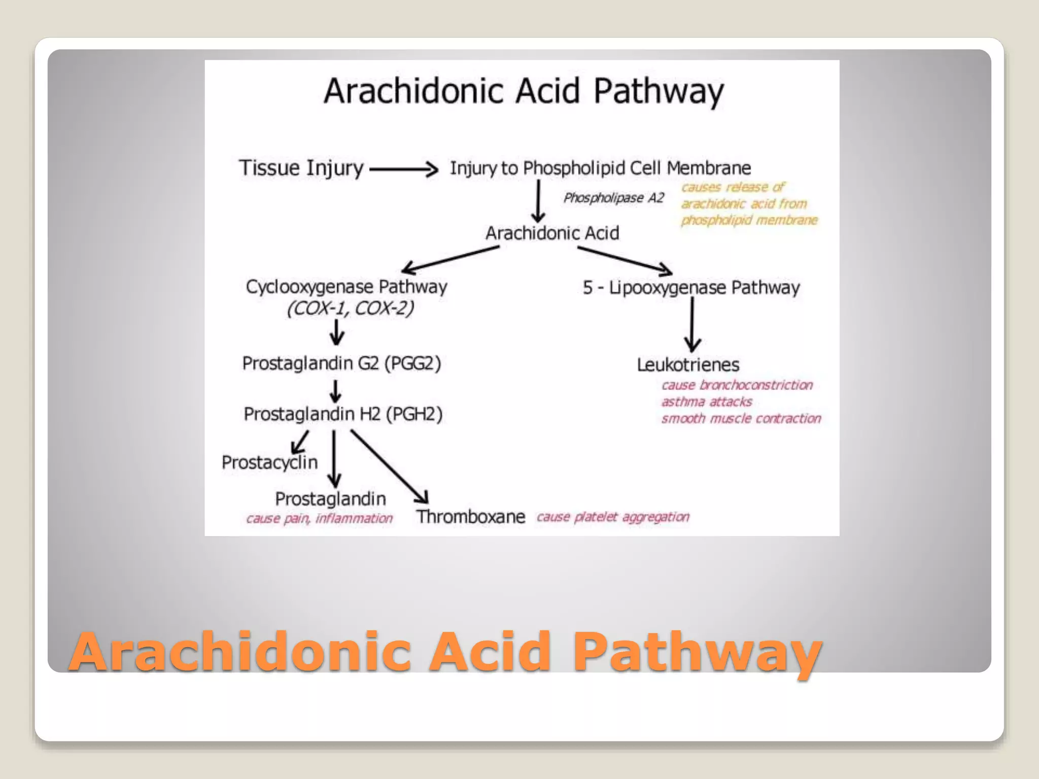 Arachidonic Acid Pathway.ppt.pptx