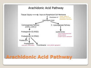 Arachidonic Acid Pathway.ppt.pptx