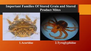 Arachnids pests | PPTX