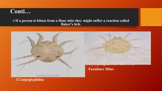 Arachnids pests | PPTX