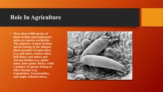 Arachnids pests | PPTX