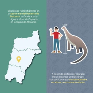 Arackar lickanantai - Museo Ruinas de Huanchaca | PDF