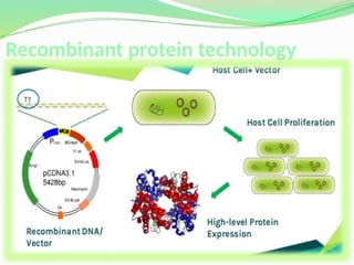 Recombinant protein production in plants | PPT