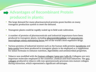 Recombinant protein production in plants | PPTX