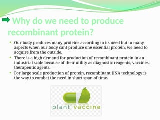 Recombinant protein production in plants | PPTX