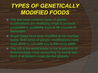 genetically modified food.pptx