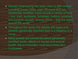 genetically modified food.pptx