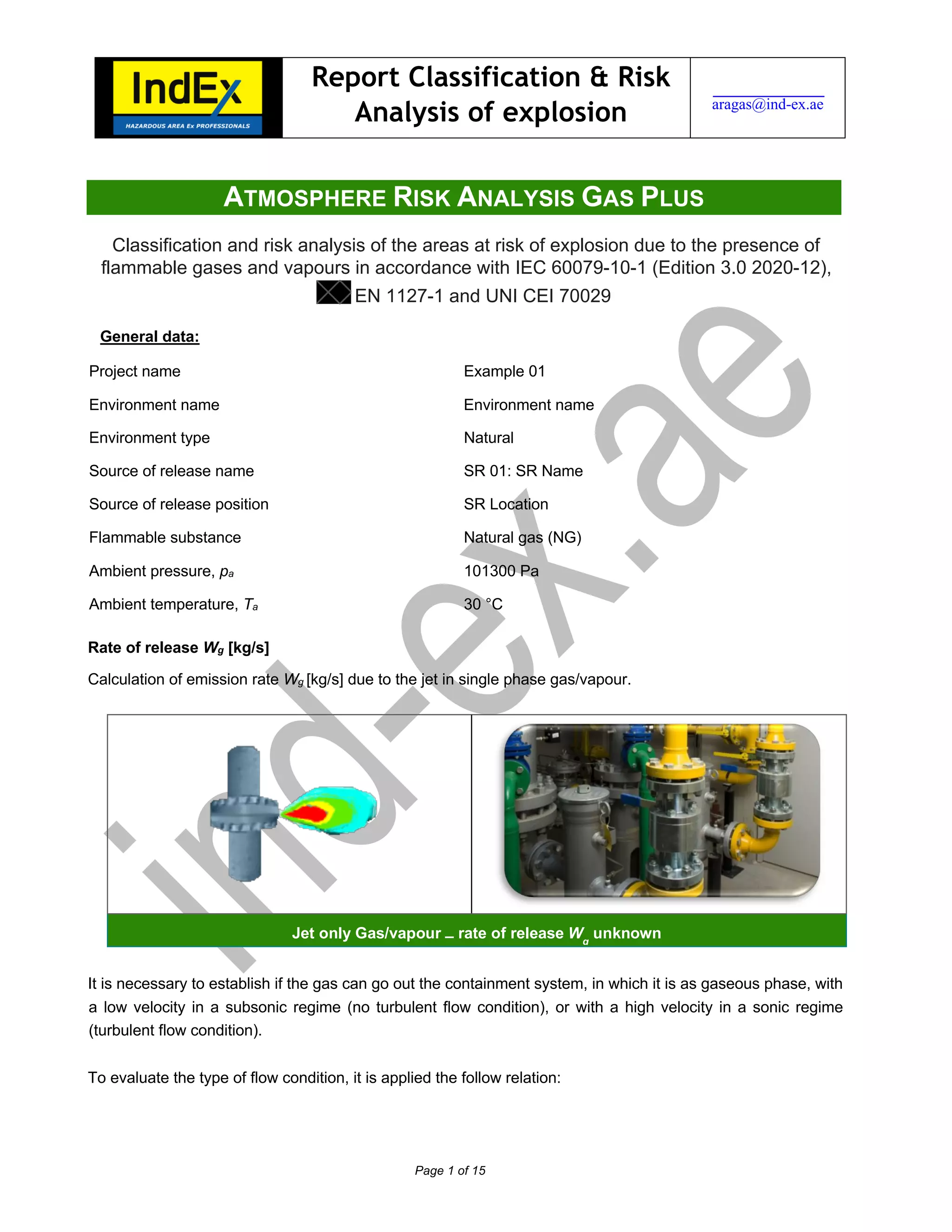 AraGasPlus - Example Report | PDF